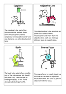 Microscopes KS3 | Teaching Resources