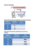 Microscopes KS3 | Teaching Resources