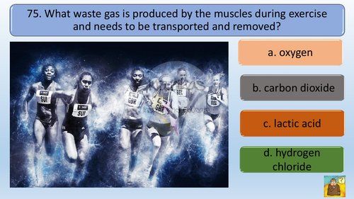 GCSE PE Revision Quiz | Teaching Resources