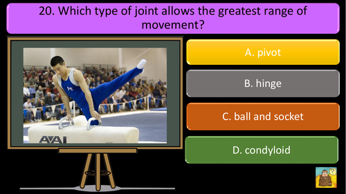GCSE PE Revision Quiz | Teaching Resources