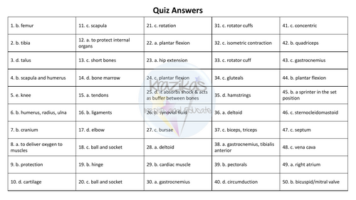 GCSE PE Revision Quiz | Teaching Resources