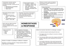 Biology Paper 2 (triple) Revision by RevisionHazel1101 | Teaching Resources