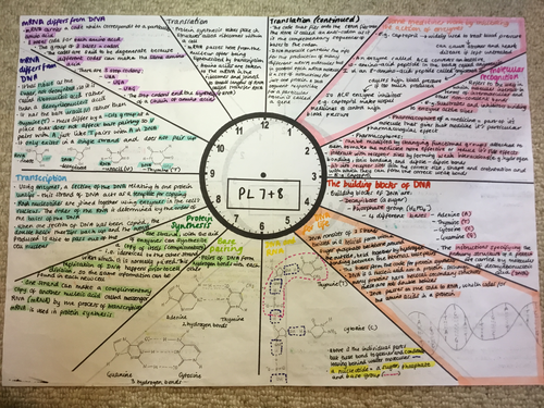 AS & A Level Chemistry OCR B - Polymers of Life (PL) 2019 | Teaching ...
