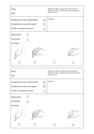 EYFS Pencil Grip Assessment and Name Recognition - Editable Observation ...