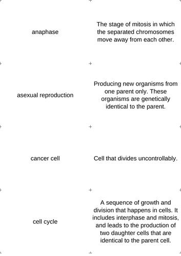 Mitosis key word definition card sort Edexcel CB2a | Teaching Resources