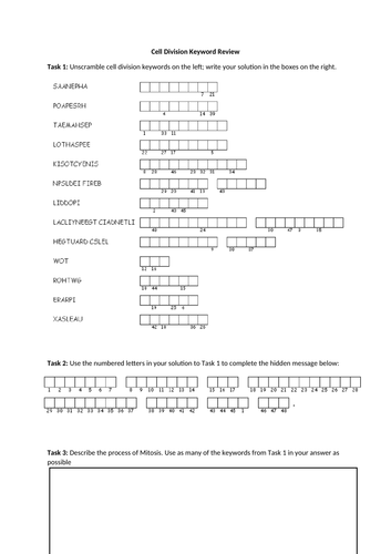 Mitosis Review Worksheet - Unscramble keywords, reveal hidden message ...