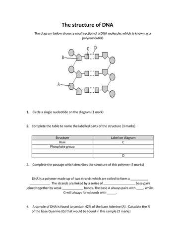 CIE IGCSE Biology Topic 4 REVISION (Biological molecules) | Teaching ...