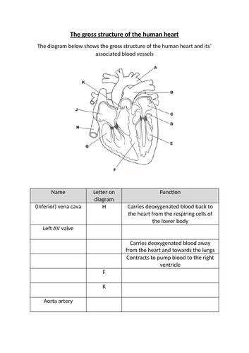 CIE IGCSE Biology Topic 9 REVISION (Transport in animals) | Teaching ...