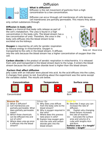 B1.6 Diffusion | Teaching Resources