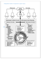 Btec Sport Level 3 Unit 17 Sports Injury management | Teaching Resources