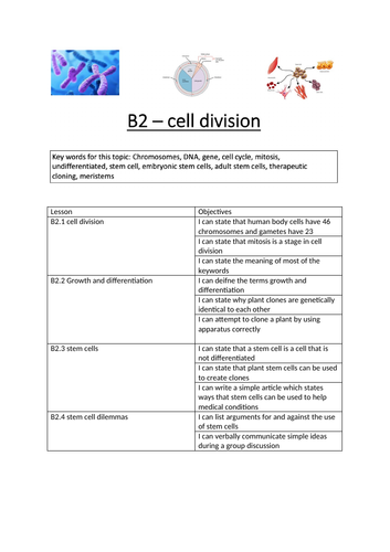 B2 - cell division revision foundation | Teaching Resources