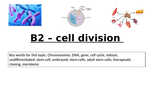 B2 - cell division revision foundation | Teaching Resources