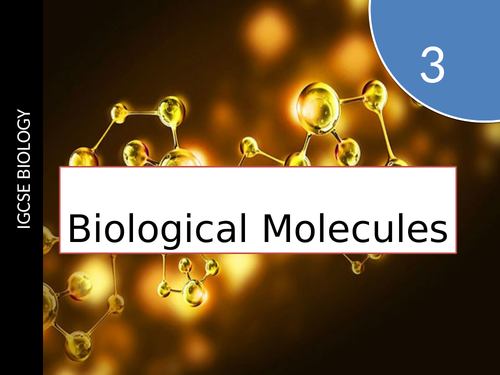 IGCSE biological Molecules | Teaching Resources