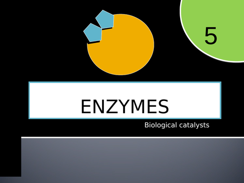 IGCSE enzymes | Teaching Resources