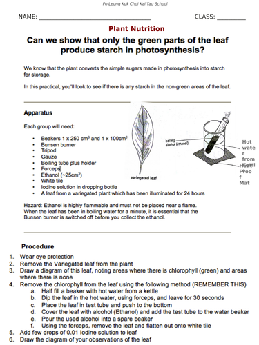 IGCSE Plant Nutrition | Teaching Resources