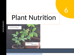 IGCSE Plant Nutrition | Teaching Resources