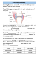 AQA GCSE PE - The Skeletal System Workbook / Worksheets | Teaching ...