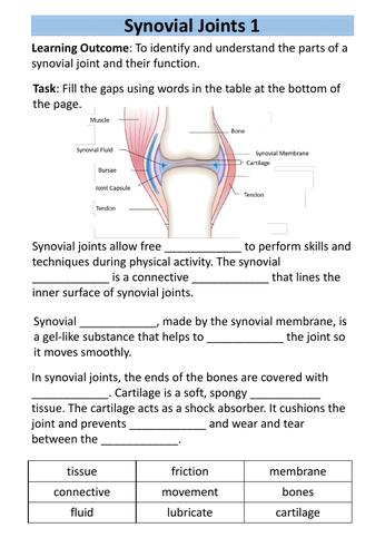 aqa-gcse-pe-the-skeletal-system-workbook-worksheets-teaching
