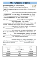 AQA GCSE PE - The Skeletal System Workbook / Worksheets | Teaching ...