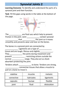 AQA GCSE PE - The Skeletal System Workbook / Worksheets | Teaching ...