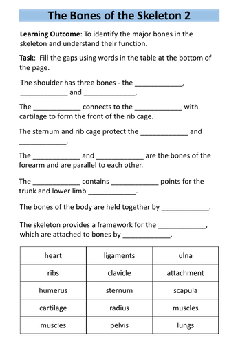 AQA GCSE PE - The Skeletal System Workbook / Worksheets | Teaching ...