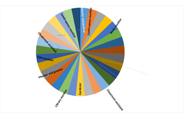 Editable classroom jobs rota wheel display | Teaching Resources