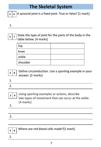AQA GCSE PE The Skeletal System | Teaching Resources