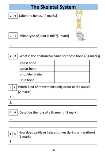 AQA GCSE PE The Skeletal System | Teaching Resources