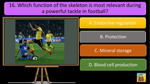 AQA GCSE PE The Skeletal System Quiz | Teaching Resources