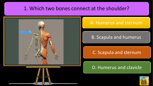 AQA GCSE PE The Skeletal System Quiz | Teaching Resources
