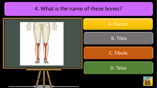 AQA GCSE PE The Skeletal System Quiz | Teaching Resources