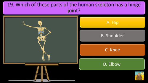 AQA GCSE PE The Skeletal System Quiz | Teaching Resources
