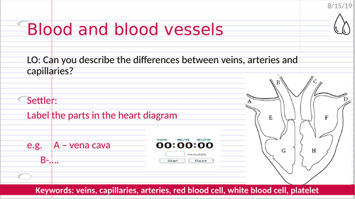 Blood Vessels and Blood | Teaching Resources