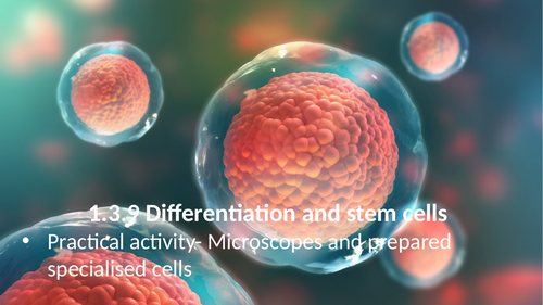 1.3.9 Differentiation and stem cells (AQA 9-1 Synergy) | Teaching Resources