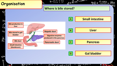 £1 ONLY! KS4 AQA GCSE Biology (Science)Organisation Multiple Choice Revision Questions ...
