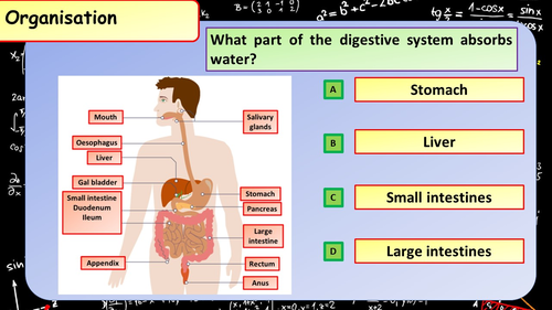 £1 ONLY! KS4 AQA GCSE Biology (Science)Organisation Multiple Choice Revision Questions ...