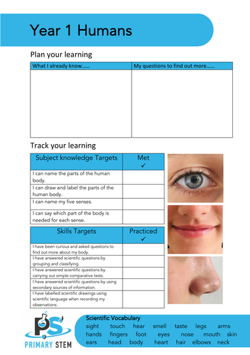 Editable Primary Science Topic Cover Pages Bundle | Teaching Resources