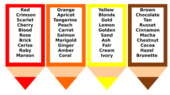 Colour Synonym Display | Teaching Resources