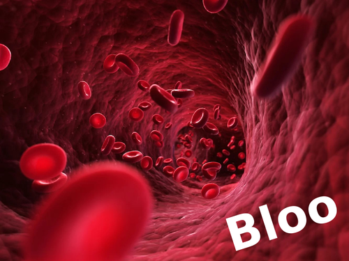 Function of blood | Teaching Resources