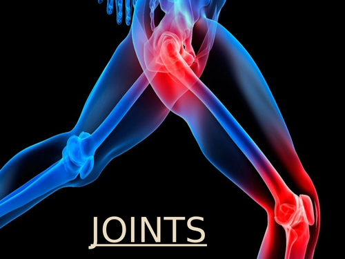 Human Joints | Teaching Resources