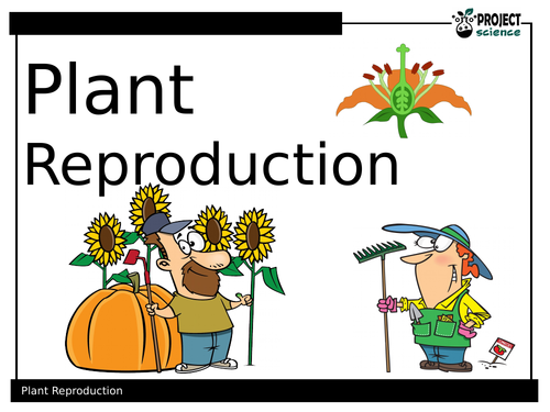 Plant Reproduction PowerPoint Presentation | Teaching Resources