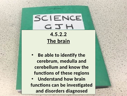 The brain (AQA GCSE Biology) | Teaching Resources
