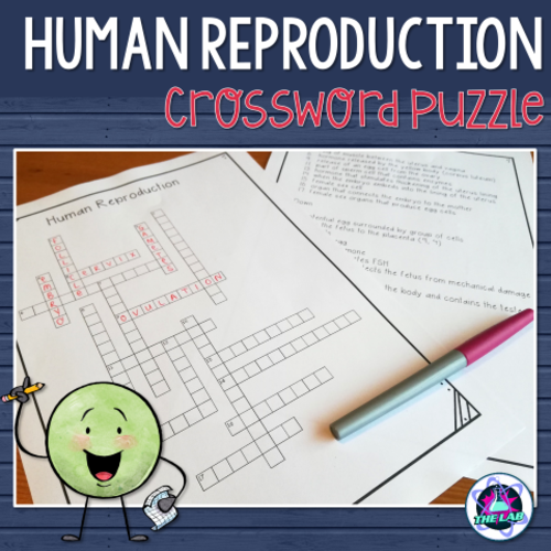 Human Reproduction Crossword Puzzle | Teaching Resources