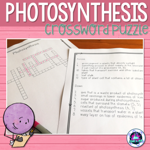 Photosynthesis Activities Bundle | Teaching Resources
