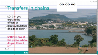 Transfers in chains - bioaccumulation | Teaching Resources