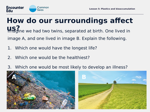 How does plastic pollution affect sea animals? - KS3 Biology | Teaching ...