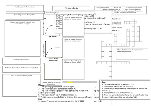 Differentiated Photosynthesis Revision Crib Sheet GCSE Biology ...