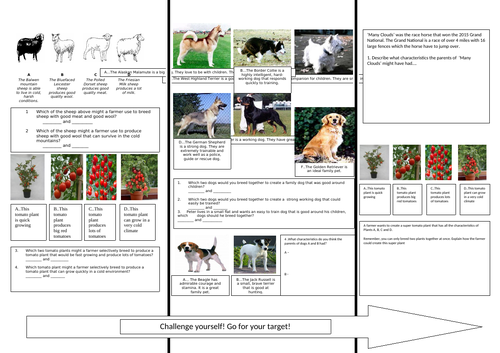 Differentiated Selective Breeding Activity | Teaching Resources