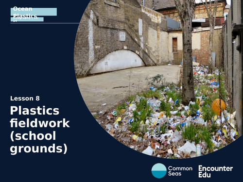 Plastic field work on school grounds | Teaching Resources