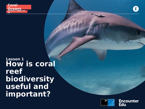 Biodiversity Science GCSE: Coral case study | Teaching Resources